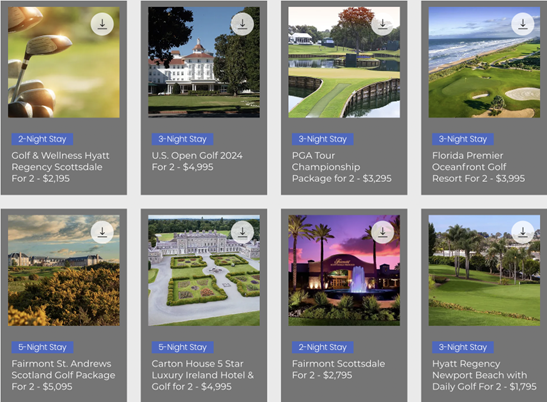 Auction Software: Raise More with BiddingForGood | FrontStream